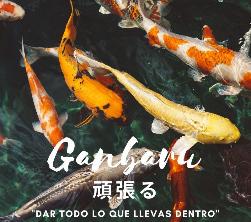 Ganbaru: El verbo japonés que inspira esfuerzo, resiliencia y superación - Angela Lopez Coach