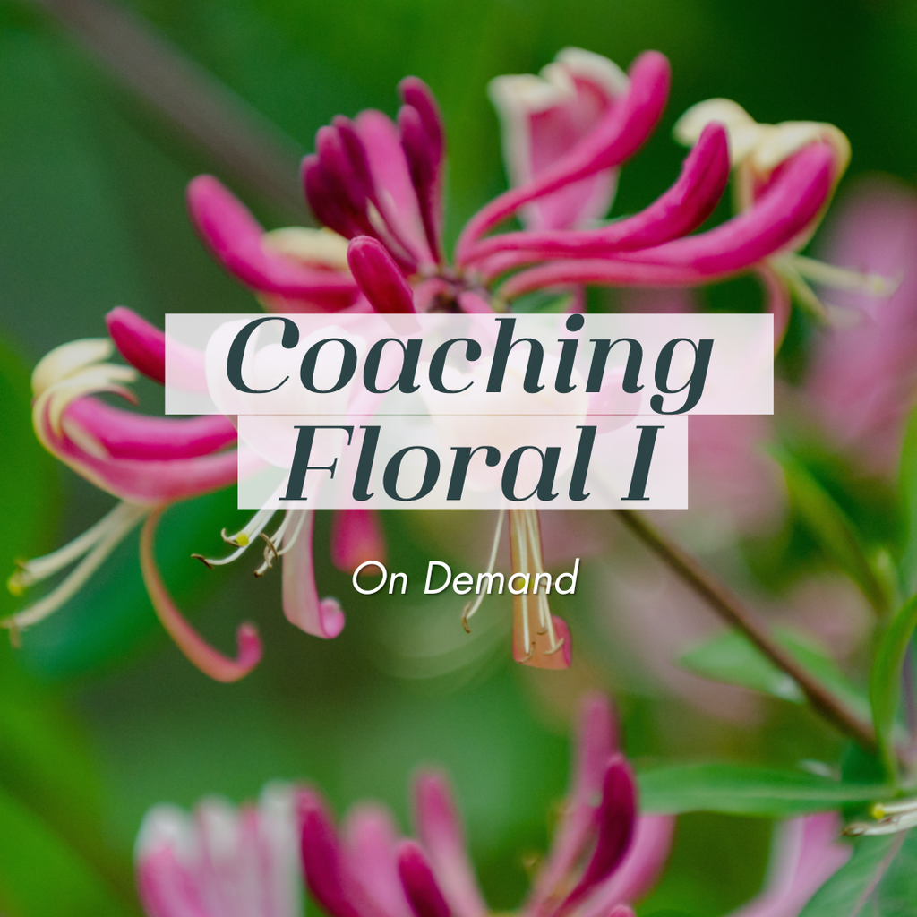 COACHING FLORAL ON DEMAND - PARTE I - Academia Flor es Ser - Talleres y ...