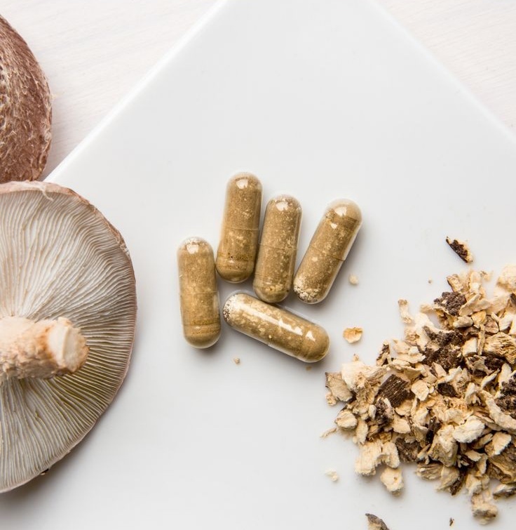 Asesor Terapeutico Especializado en Adaptogenos - Magia Verde ®️